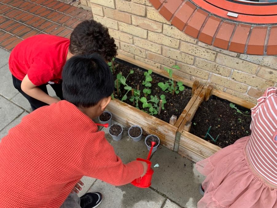 Halley Primary - Grow Your Own Playground